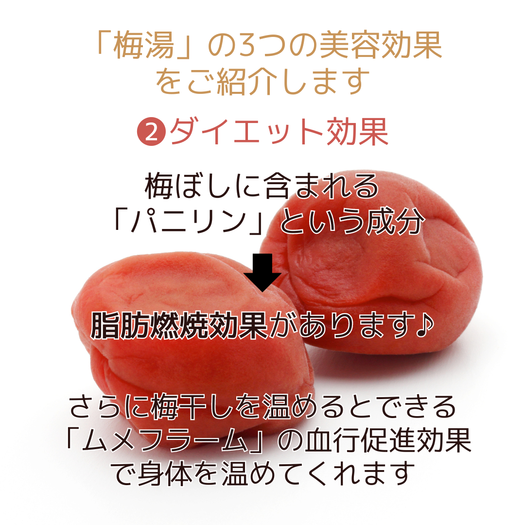 気になる方はぜひチェックしてくださいね〜